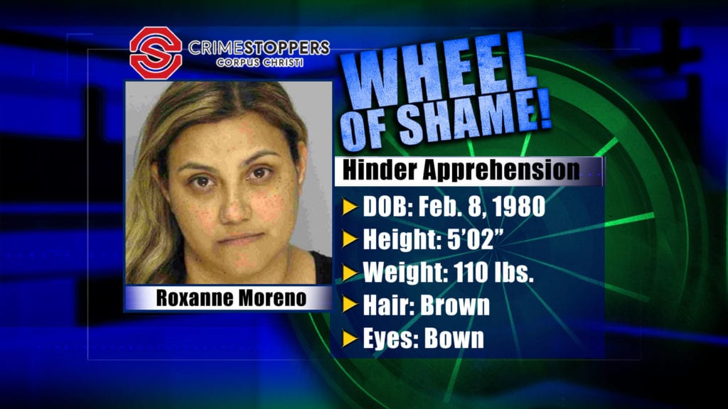 Wheel Of Shame: February 20th