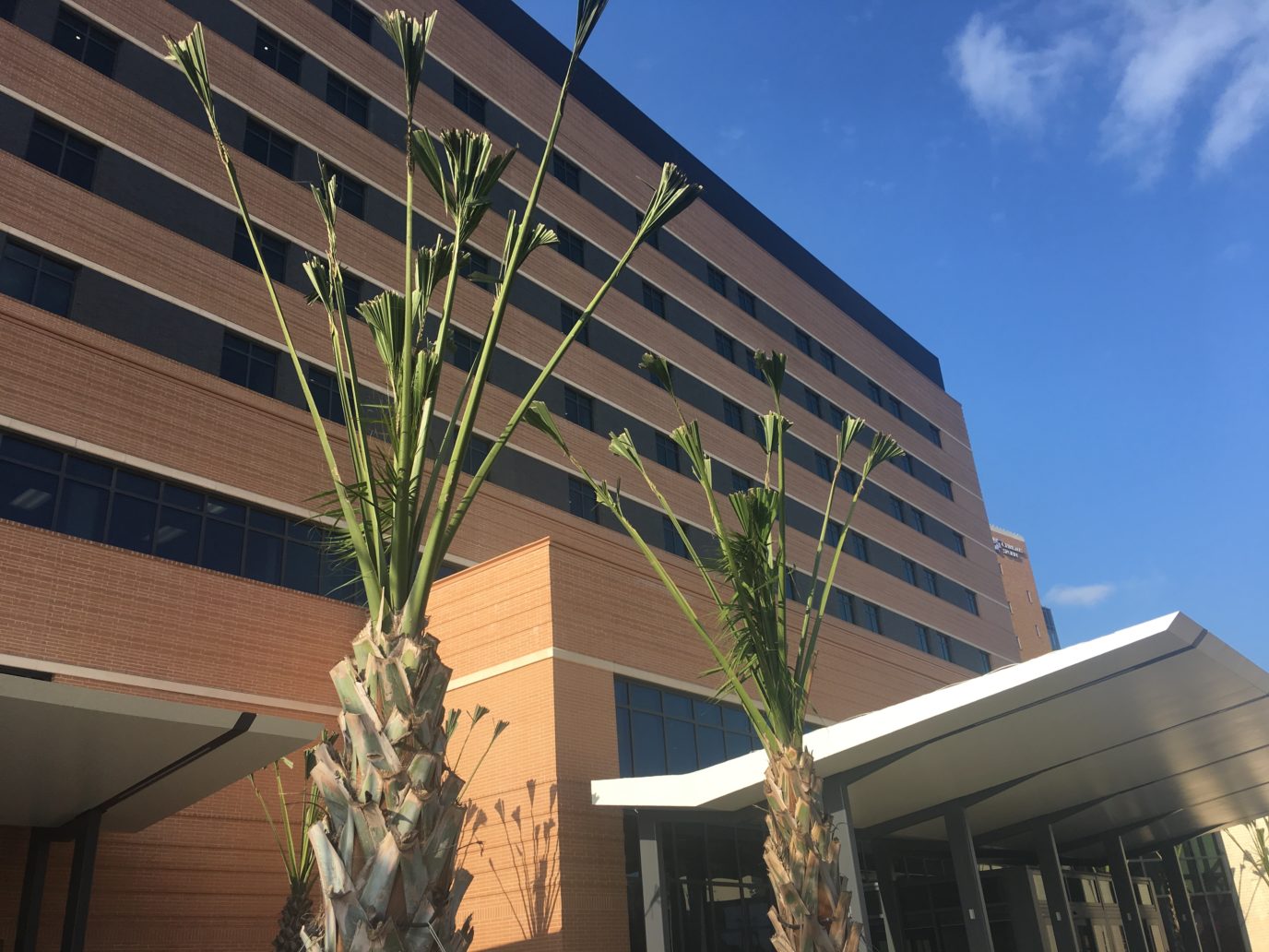 Ribbon cut at CHRISTUS Spohn Shoreline’s new North Tower