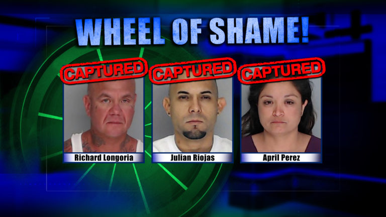 Wheel Of Shame Arrests: April 24th